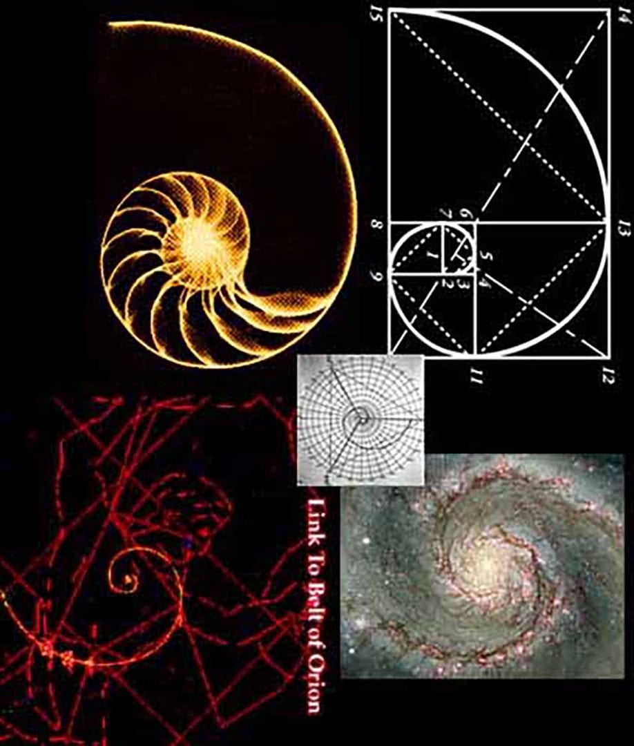 The Golden Ratio | Jon Gary Steele